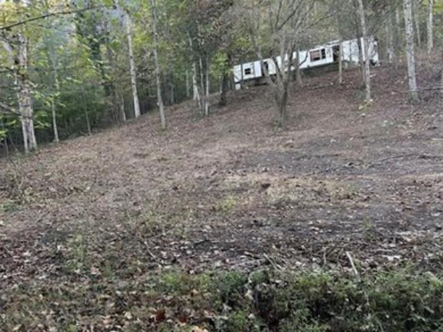 1170 James Brown Rd, Westmoreland, TN 37186