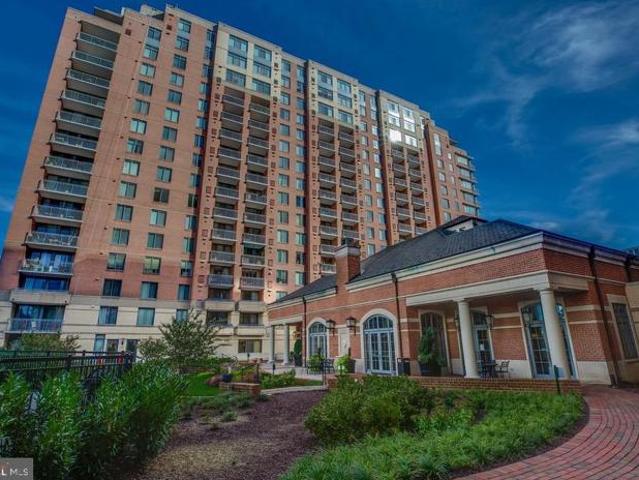 11710 Old Georgetown Rd #1428 Rockville, MD 20852