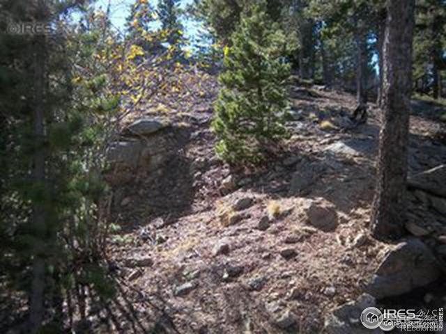 11717 Coal Creek Heights Drive