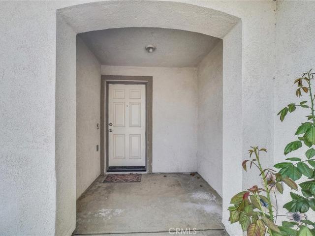 11719 Fern Pine