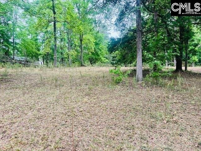 1172 Lake Dr, Leesville, SC 29070