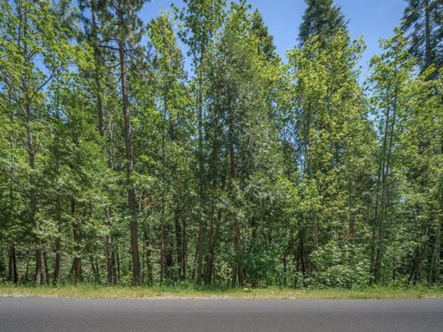 1172 Spring Valley Way, Arnold, CA 95223