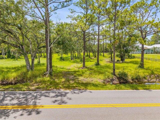 1172 Williams Rd, New Smyrna Beach, FL 32168