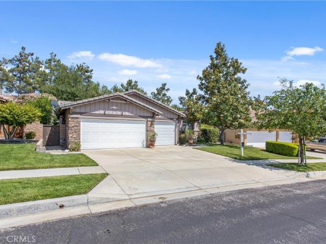 11733 Pactfield