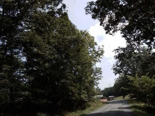 11731 11 Town Creek Rd NE, Flintstone, MD 21530 | MLS #MDAL2014 | Compass