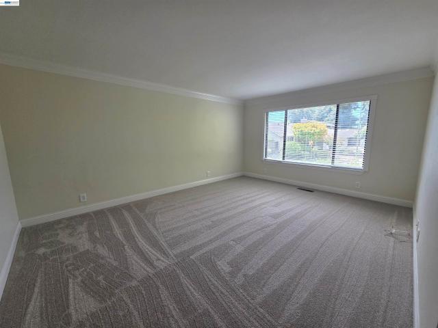 11732 Bloomington Way