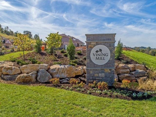 11734 Boston Ivy Lane