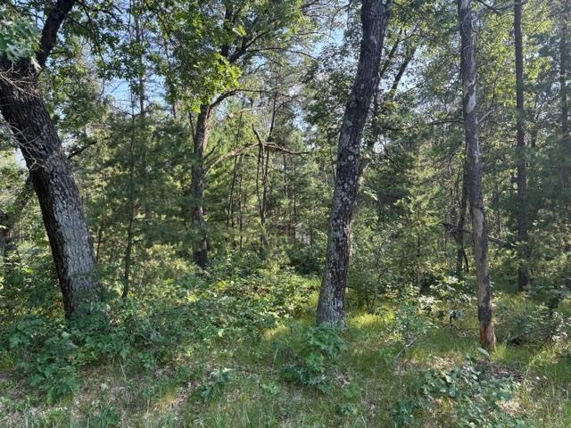 1173 Arrowhead Trail