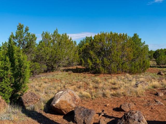 1173 E Tamarack St, Williams, AZ 86046
