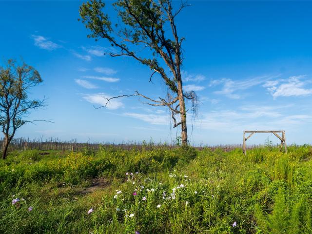 117 County Road 33