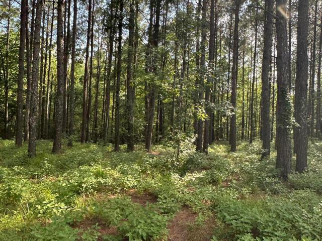 117 Colleton Circle # 163