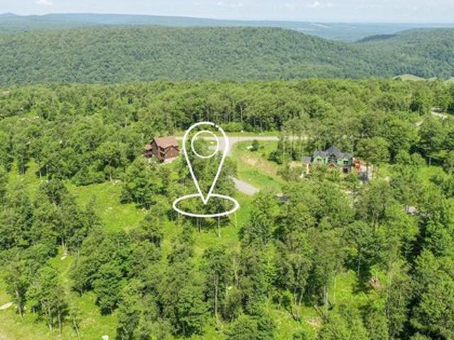 117 Campfire Dr, McHenry, MD 21541