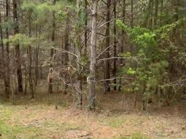 117 Church View Dr Unit 1, Lawndale, NC 28090