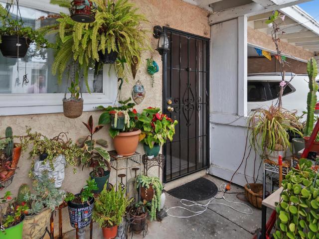 117 Ann Avenue