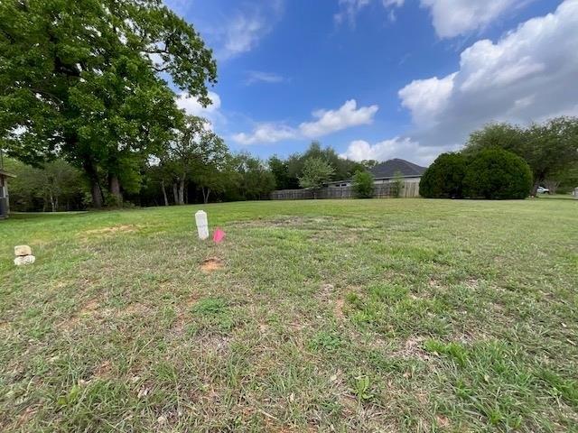 117 Allison Cv, Elgin, TX 78621