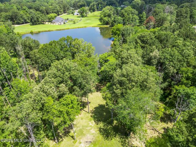117 Blueberry Hill Lane