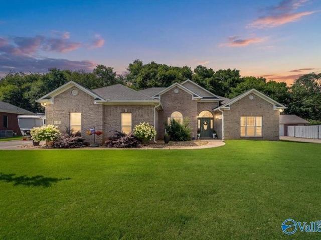 117 Brokenrein Dr, Meridianville, AL 35759