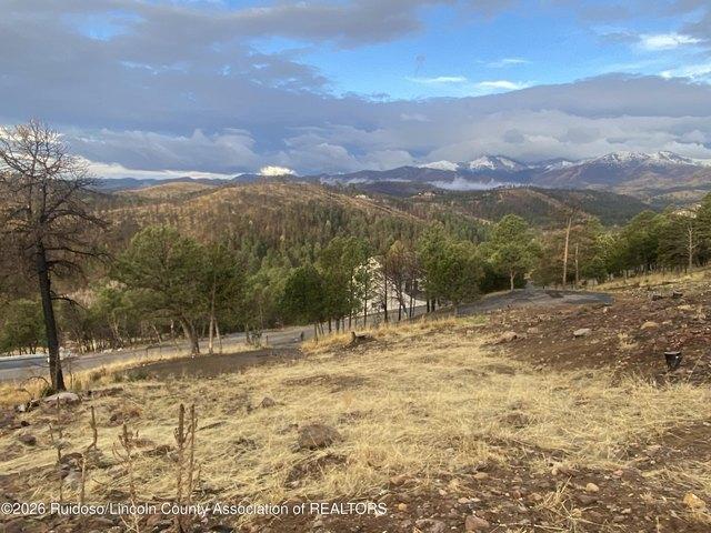 117 Buena Vista Dr Lot 13, Alto, NM 88312