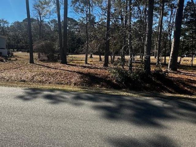 117 Genoe's Point Rd SW, Supply, NC 28462 | MLS #100550