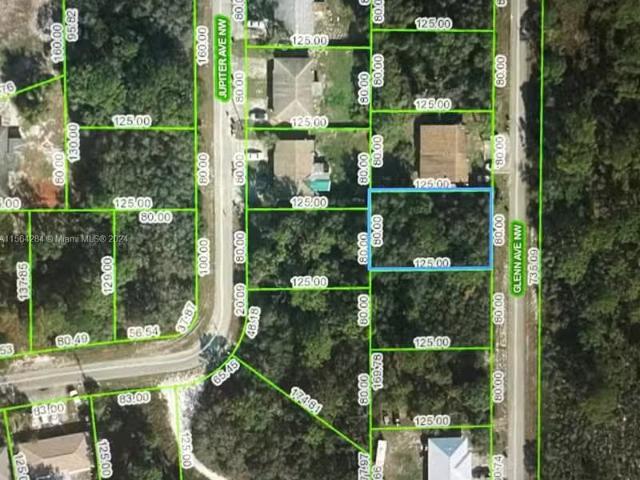 117 Glenn Ave NW, Lake Placid, FL 33852 MLS A11564284