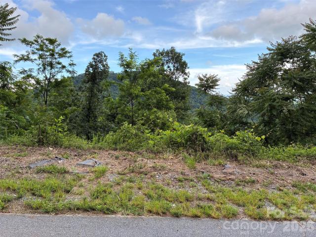 117 Devin Ridge Lane # 117