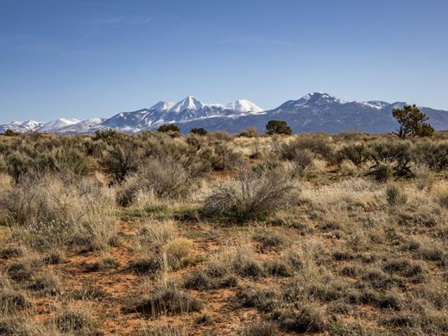 117 Flat Iron Mesa Rd Unit 46, Moab, UT 84532