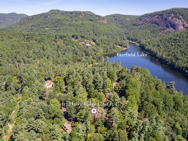 117 Holly Rdg Unit 15C, Sapphire, NC 28774