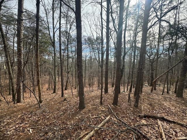 117 Leopard Ct, Waleska, GA 30183 | MLS #7512 | Compass