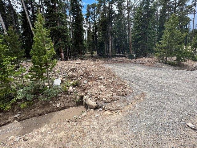 117 Miners Way, Fairplay, CO 80440