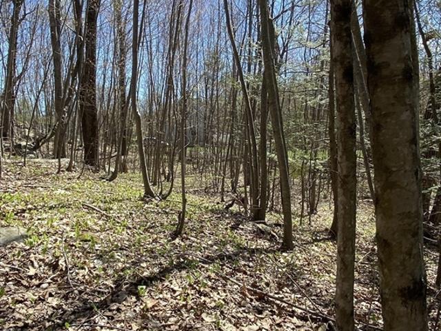117 Munsing Ridge, Granby, MA 01033 | MLS #73509 | Compass