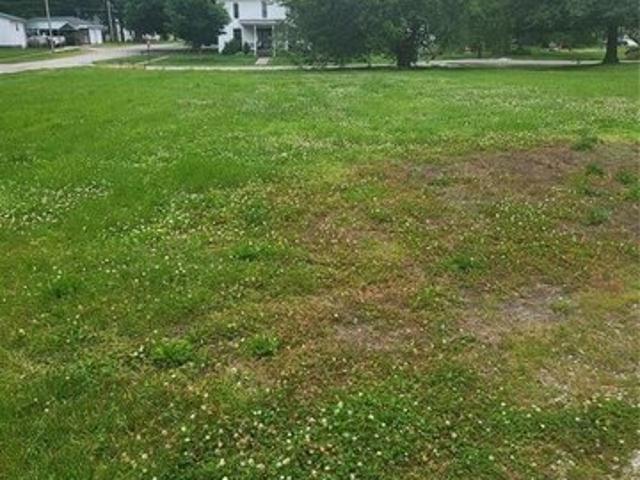 117 S Grace St, Marissa, IL 62257