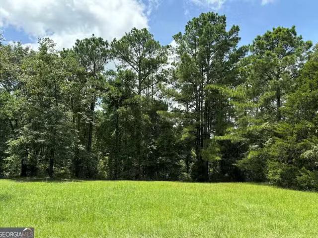 117 Pine Hill Rd, Cusseta, GA 31805 MLS 10359687
