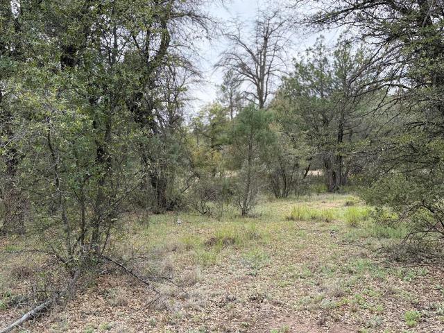 117 Rifle Barrel Rd, Unit 41, Young, AZ 85554 | MLS #7007 | Compass