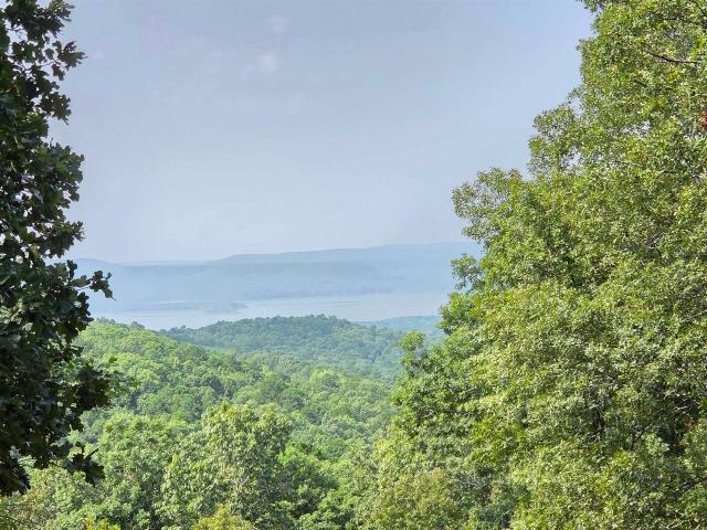 117 Tanglewood Cir