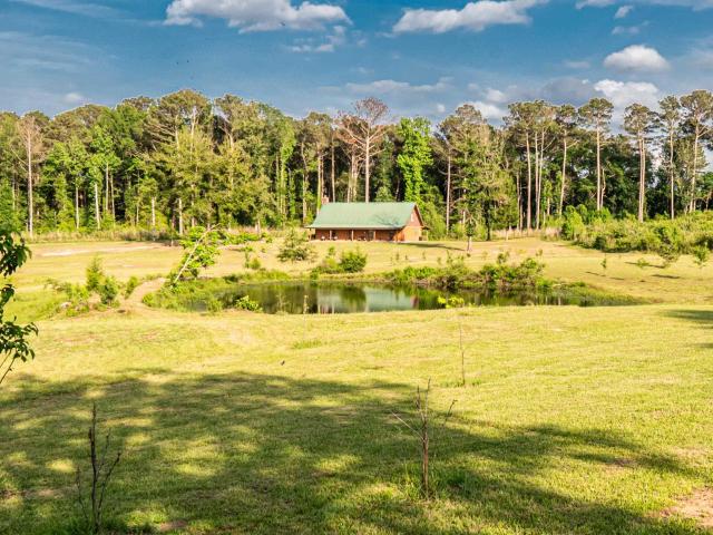 117 Vestal Loop