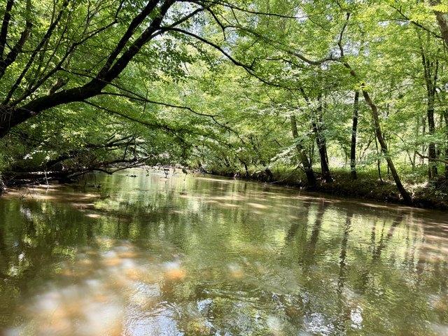 11850 Neely Ferry Rd, Waterloo, SC 29384