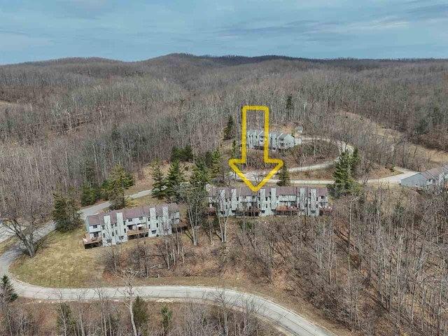 1185 Hideaway Valley Dr Unit 62, Harbor Springs, MI 49740