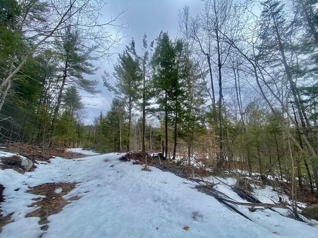 1186 Middle Rd, Parsonsfield, ME 04047