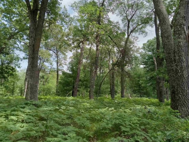 1186 Arrowhead Trail