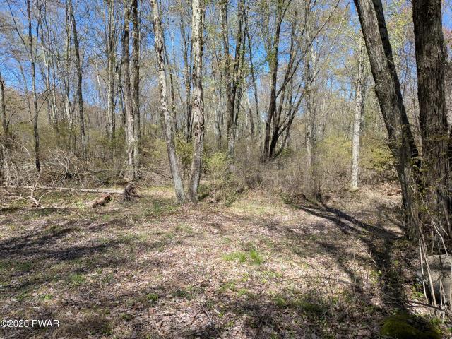 1186A Owego Turnpike