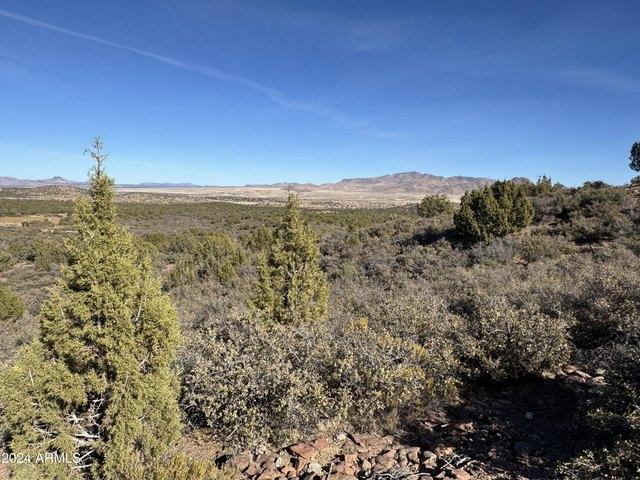 11875 Bogles Ranch Rd Unit 54, Wikieup, AZ 85360
