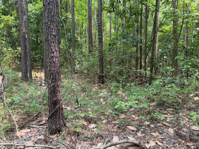 1187 Green Springs Road # 2