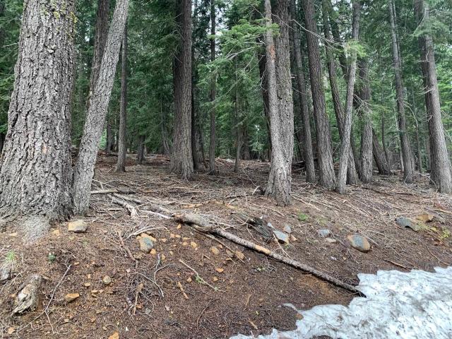 1187 Regency Way, Tahoe Vista, CA 96148 | MLS #20260