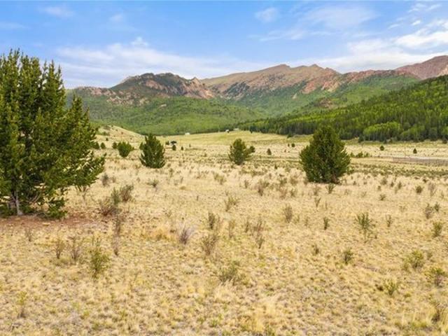 11881 Sh # 67, Divide, CO 80814