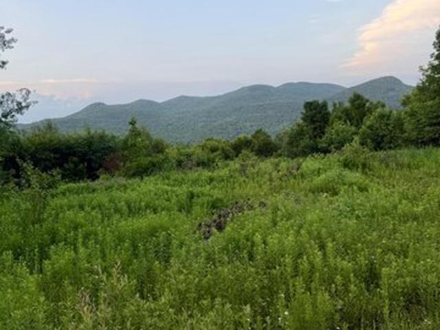 1189 County Route 26, Loon Lake, NY 12989