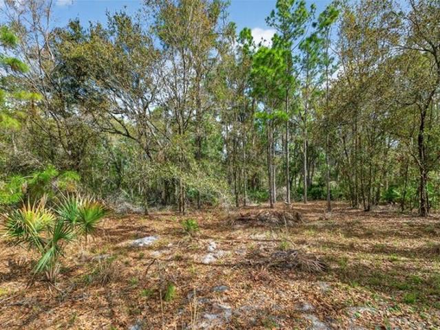11803 Dog Hollow Ln, Lithia, FL 33547