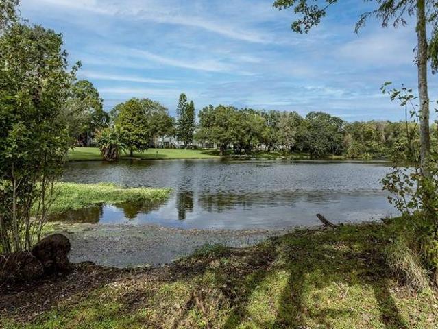 11802 Raintree Lake Ln #C, Temple Terrace, FL 33617 To Rent in Tampa, Florida