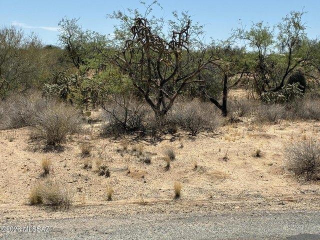 11807 S Cherokee Ln Unit 4, Tucson, AZ 85736