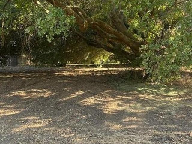 1180 E Woodbridge Rd, Woodbridge, CA 95258