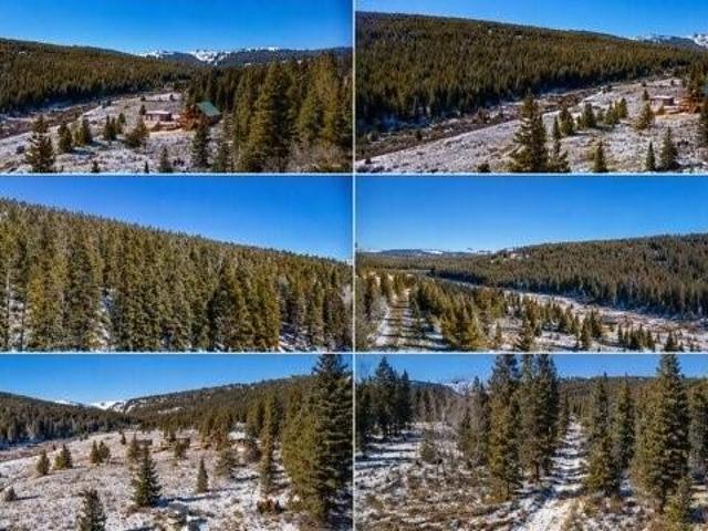 1180 Zebulon St, Alma, CO 80420